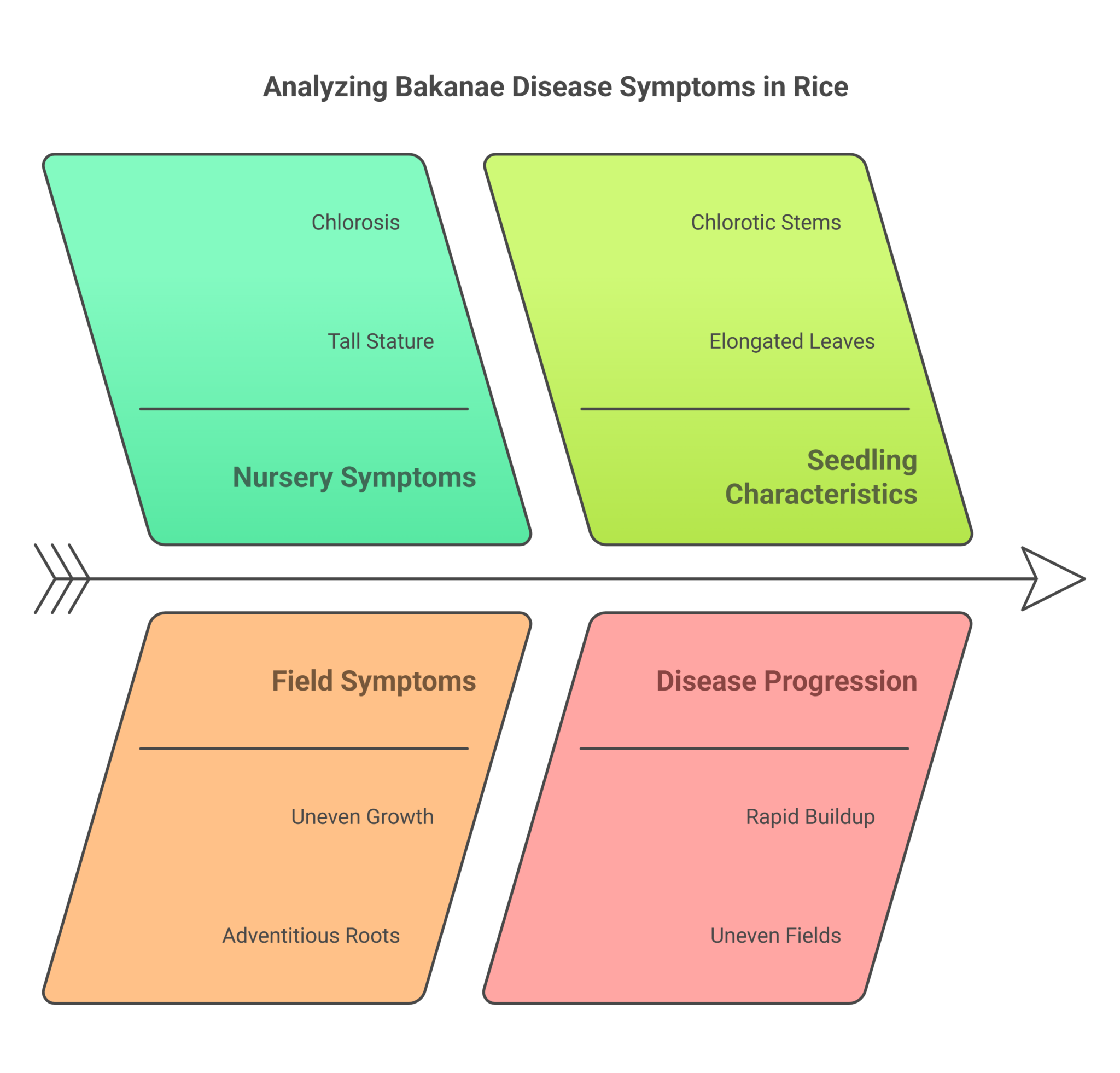 Bakanae Disease of Rice: Causes, Symptoms, and Management.