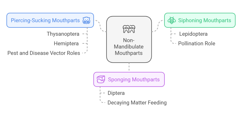 Insect Metamorphosis: Mechanisms, Types, and Ecological Implications.