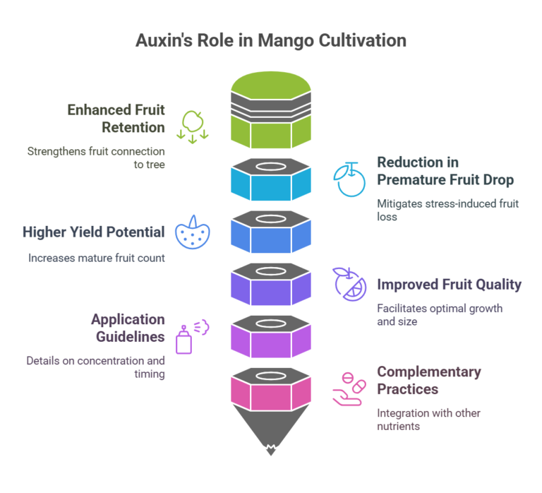 Revealing 7 Chemicals to Boost Mango Production