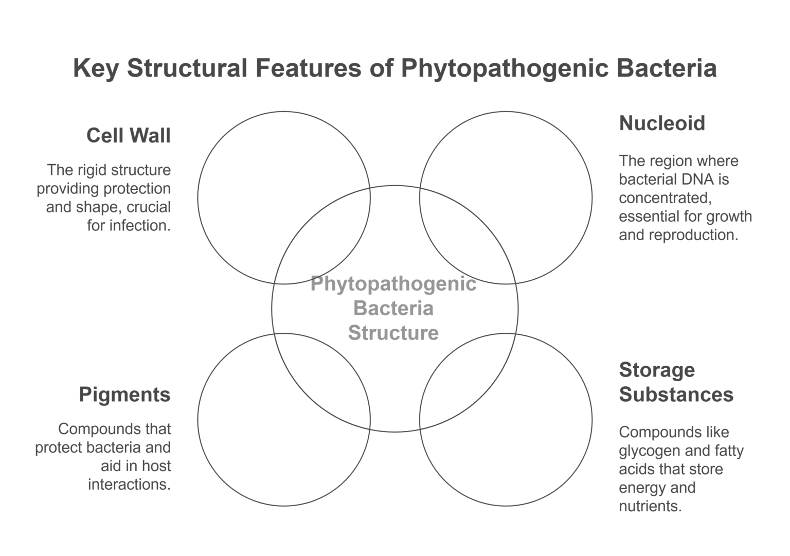 Understanding Phytopathogenic Bacteria in Plants