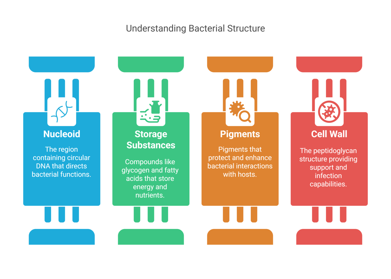 Bacterial Diseases in Plants: Symptoms, Structure, and Strategies for ...