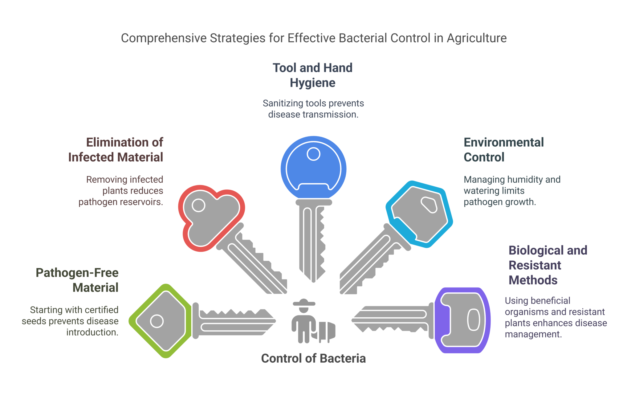 Bacterial Diseases in Plants: Symptoms, Structure, and Strategies for ...