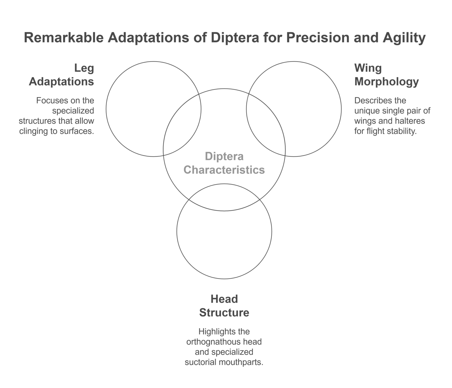 Identification and management of Diptera: Flies and Midges