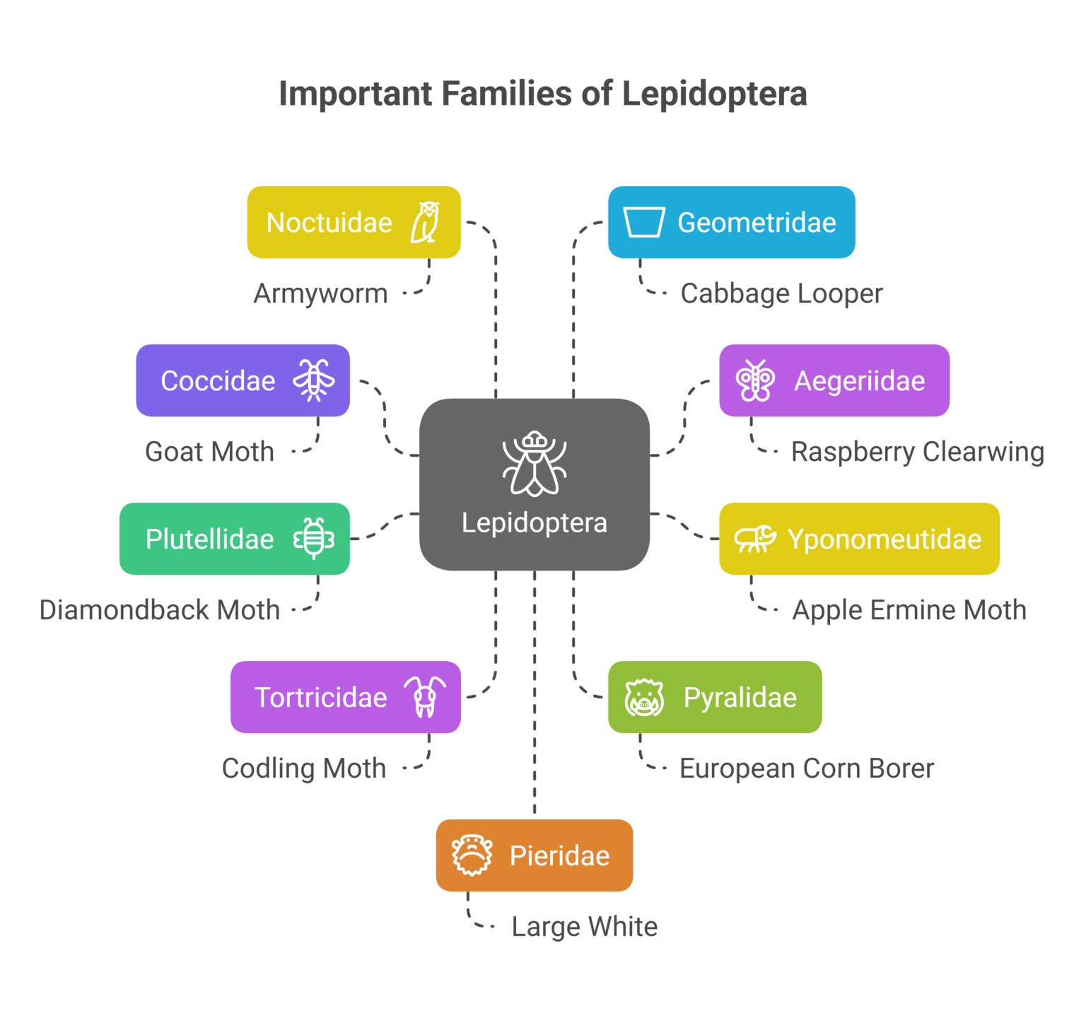 Identification and management of lepidoptera in Agriculture