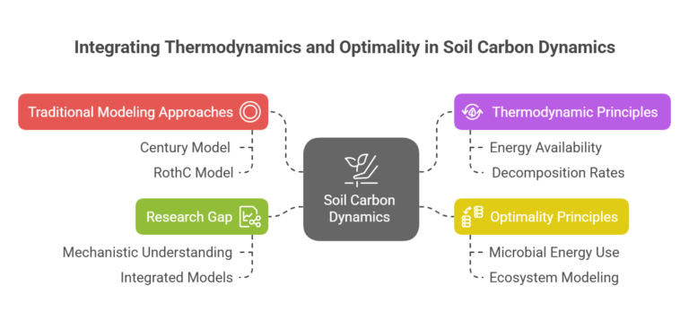 Improving Soil Carbon Models Using Energy Transformations and Optimality