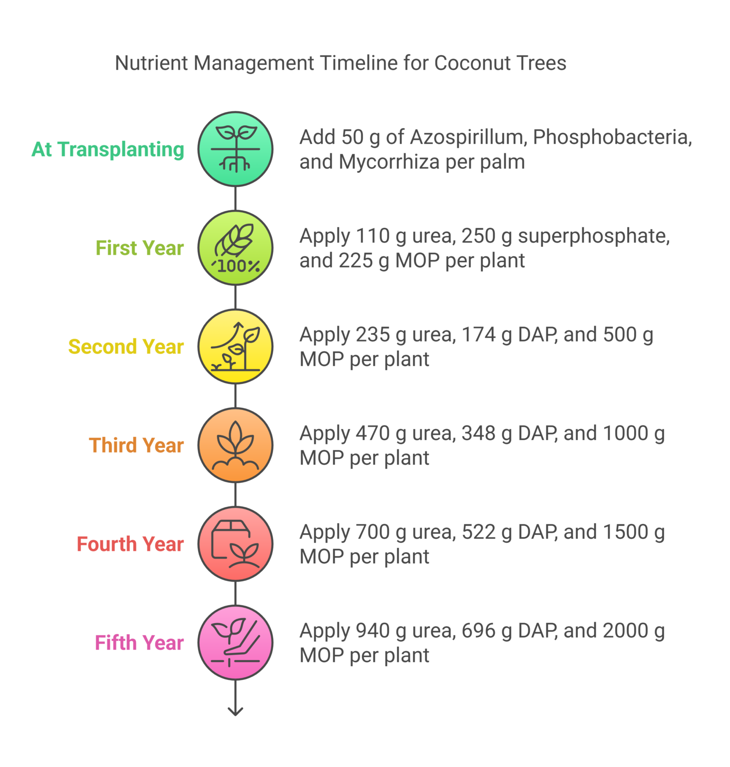 Coconut Production Guide: Step-by-Step Information.