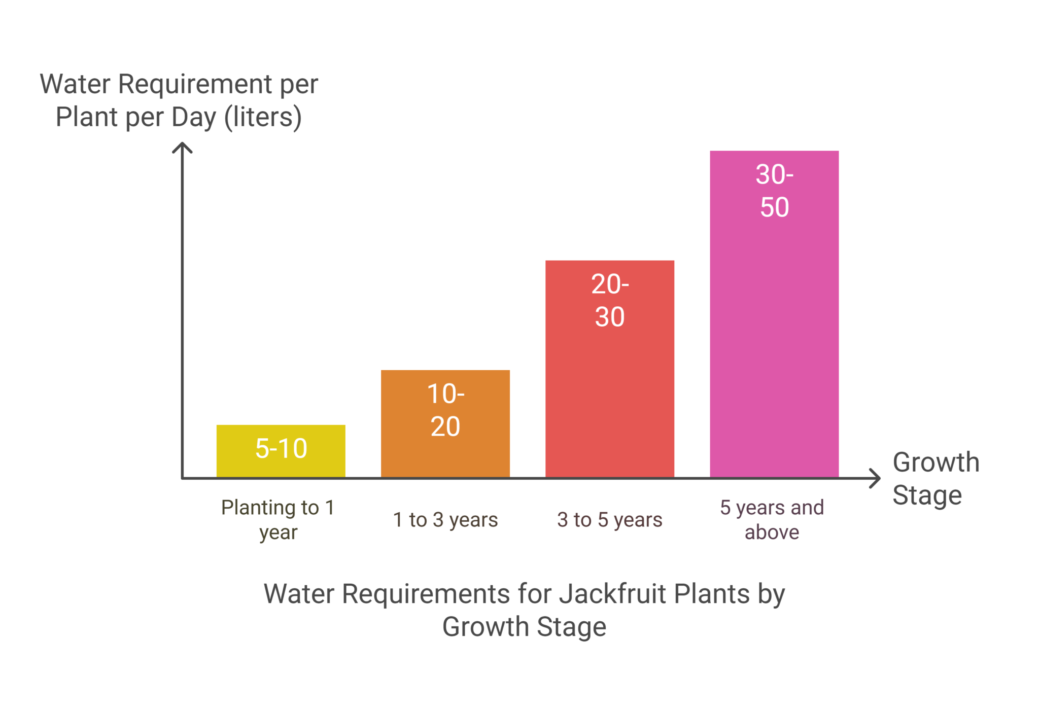Comprehensive Guide to Jackfruit Cultivation