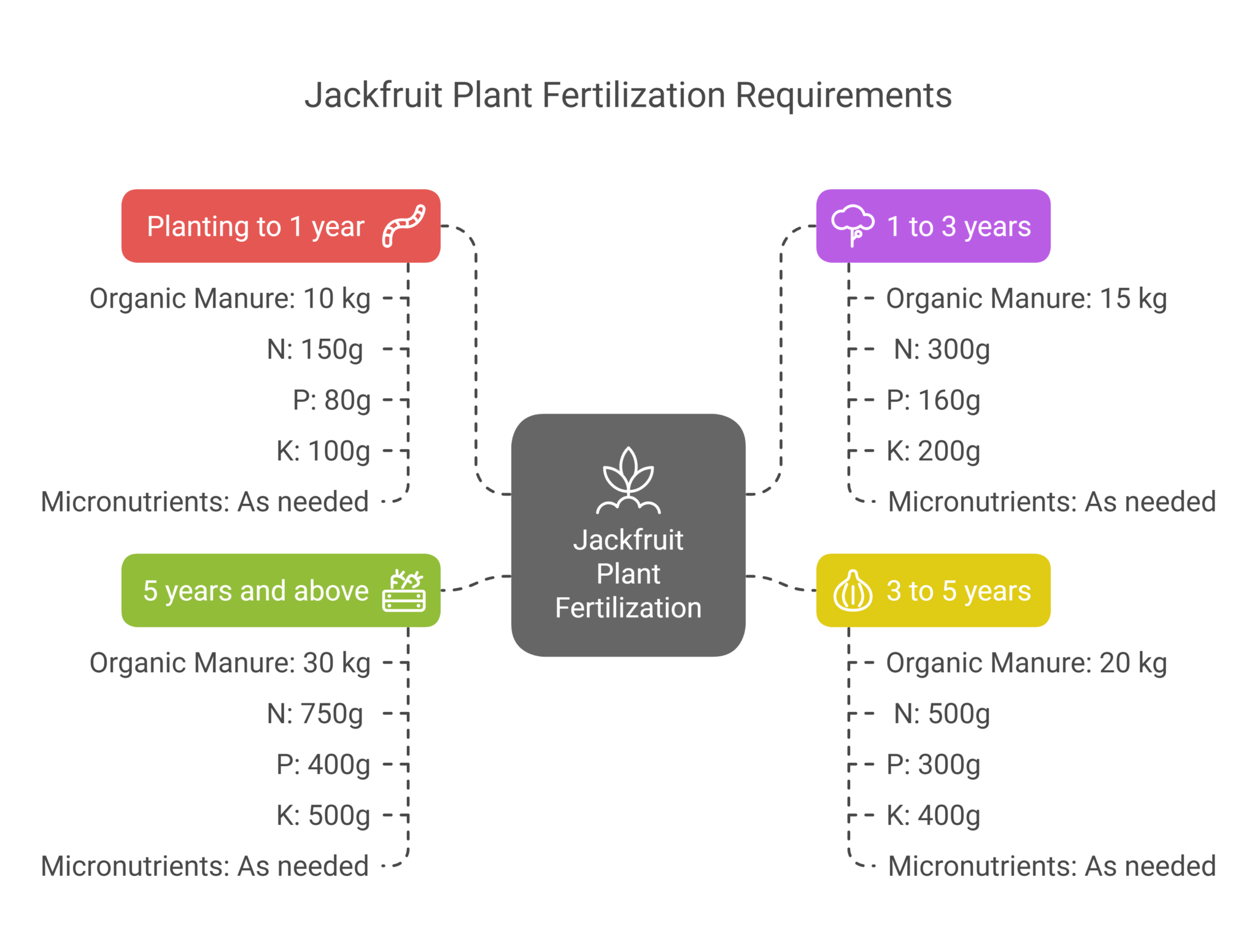 Comprehensive Guide to Jackfruit Cultivation
