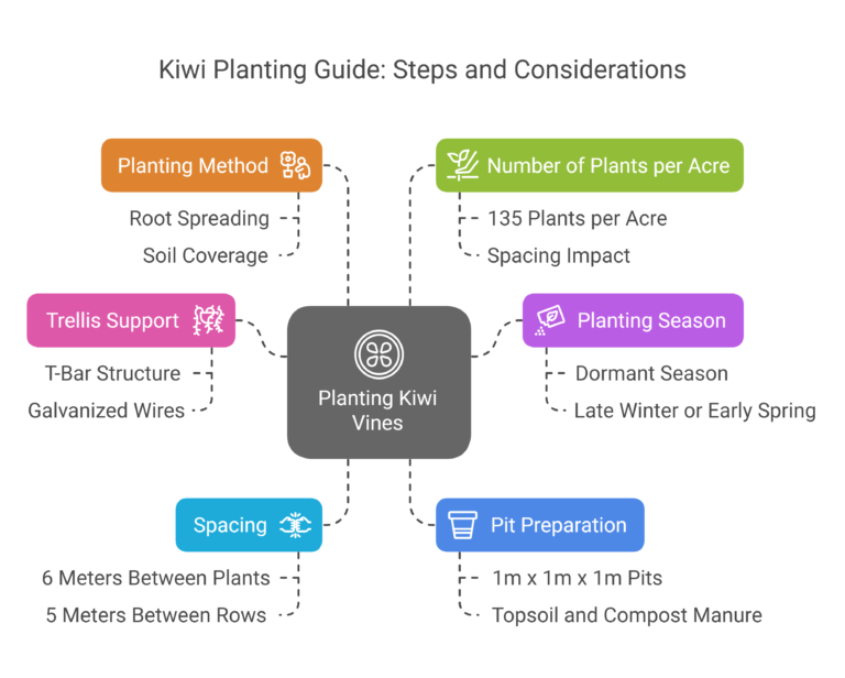 A Comprehensive Guide to Kiwi Cultivation