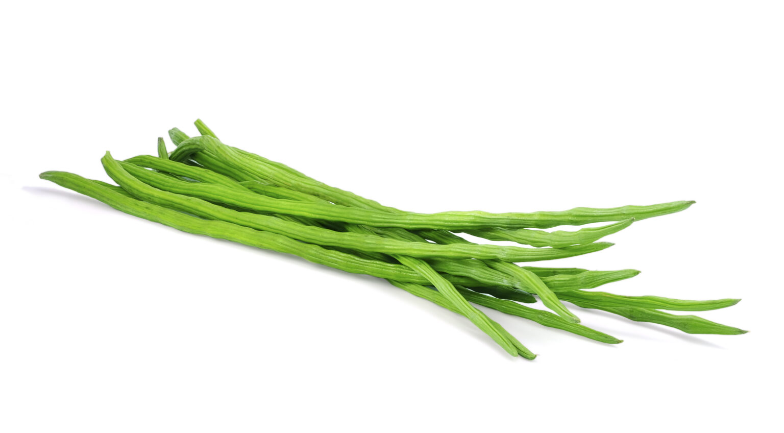 The Complete Guide to Moringa Cultivation