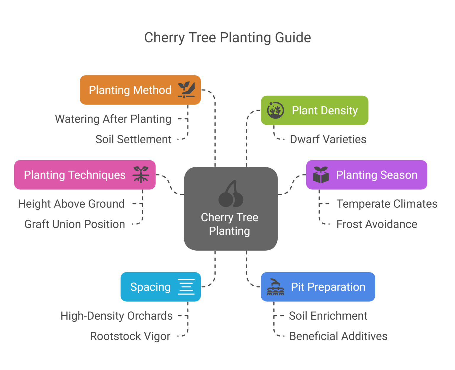 The Comprehensive Guide to Cherry Cultivation