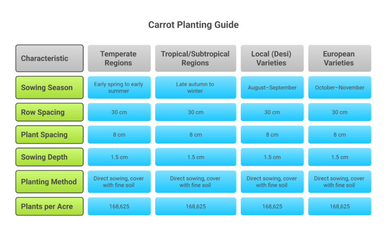Carrot Farming Profit Per Acre